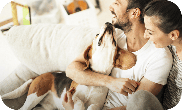 Calcola Rata Mutuo: Simulazione di Mutuo Online | Credem Banca